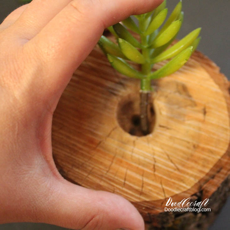 Succulent Log Planter!