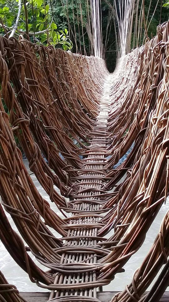 Cane bridge in Bulolo Morobe Province , PNG - What's Good Pacific