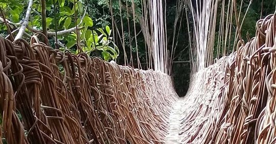 Cane bridge in Bulolo Morobe Province , PNG - What's Good Pacific