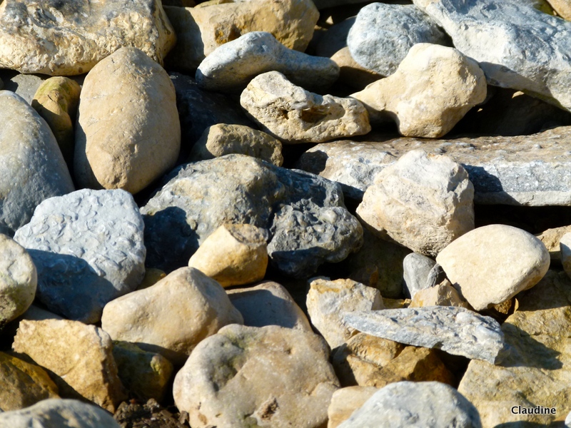 Le retour chez Canelle: Les Galets