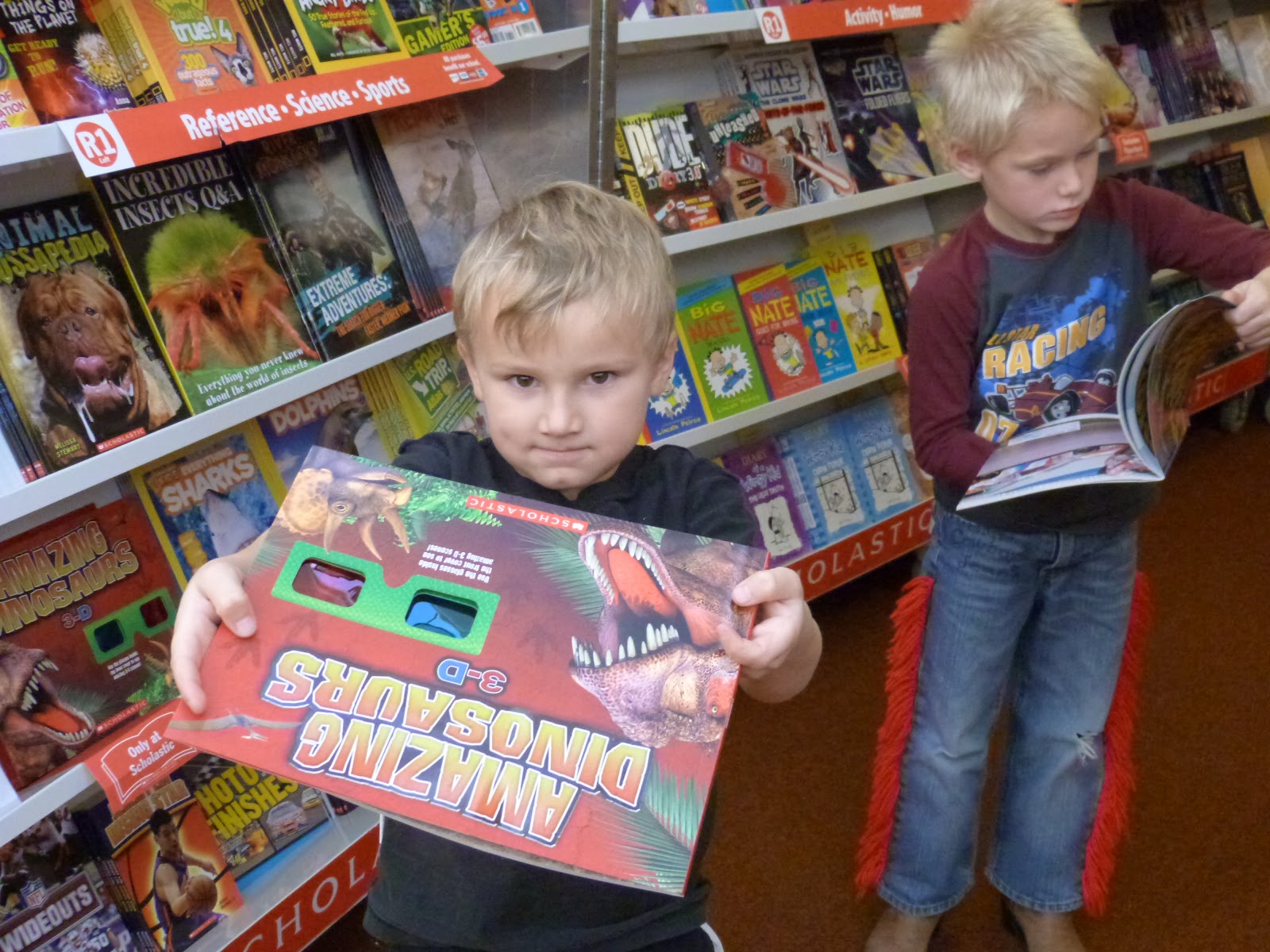 Spirit Lake Community School Libraries