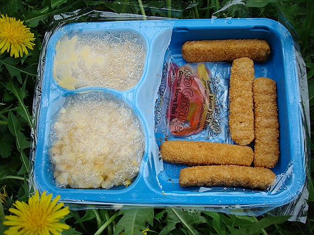 Review the World: Kid Cuisine - Deep Sea Adventure Fish Sticks