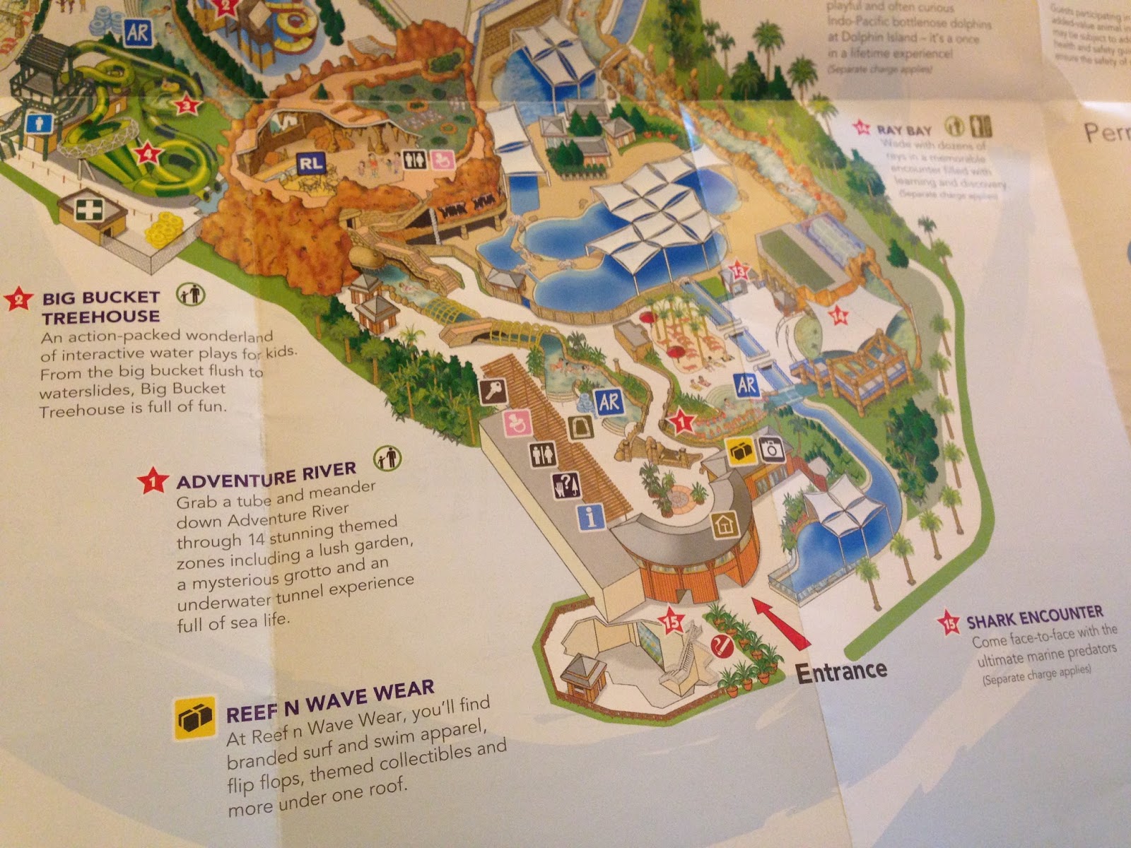 Observe the world: RWS Adventure Cove Waterpark Sentosa