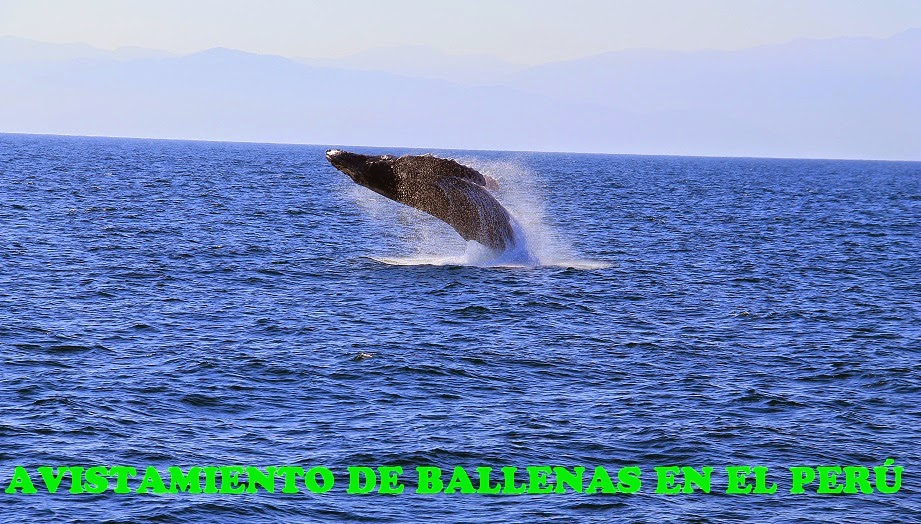 Perú: País de Maravillas: Islas del Mar Peruano