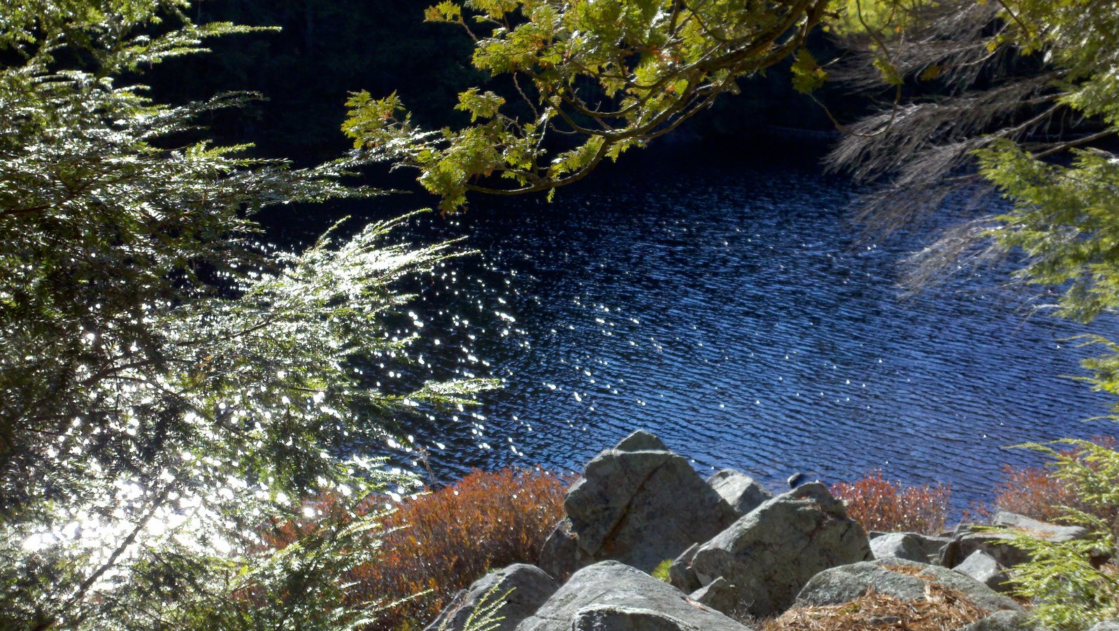 Off on Adventure: Pharaoh Lake - 11/19/11