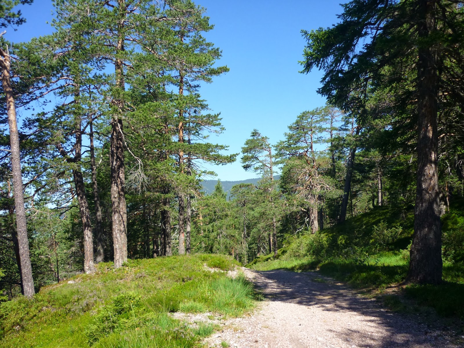 En la Montaña: BTT: MONTE ELMO CLIMB