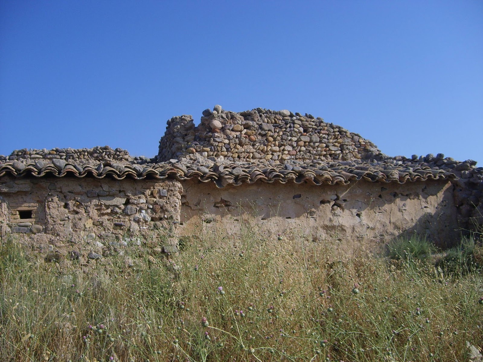 Centro de Estudios Borjanos: El abejar de La Cantera