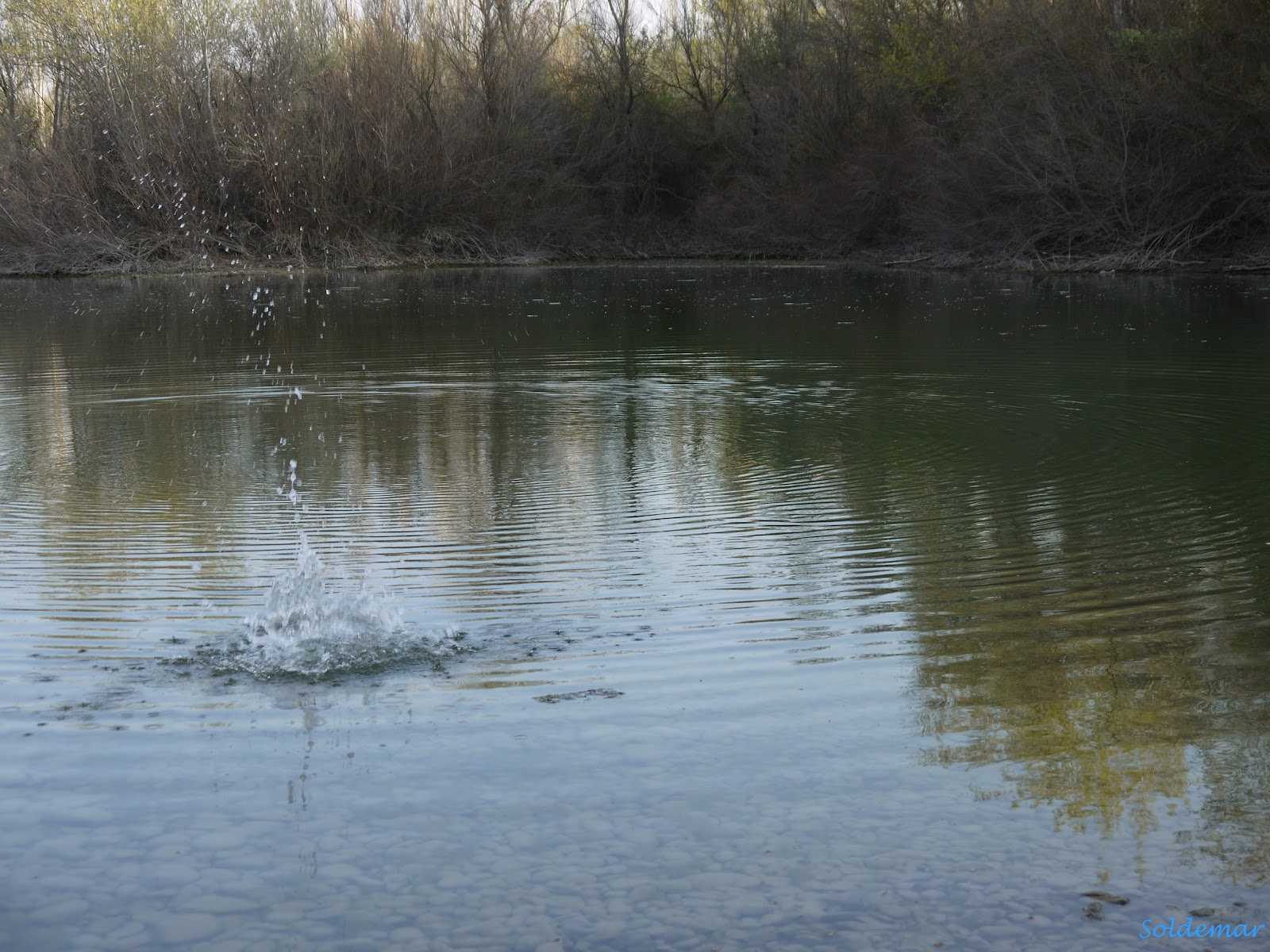 ¡UN POCO DE TODO!: El Galacho de Juslibol