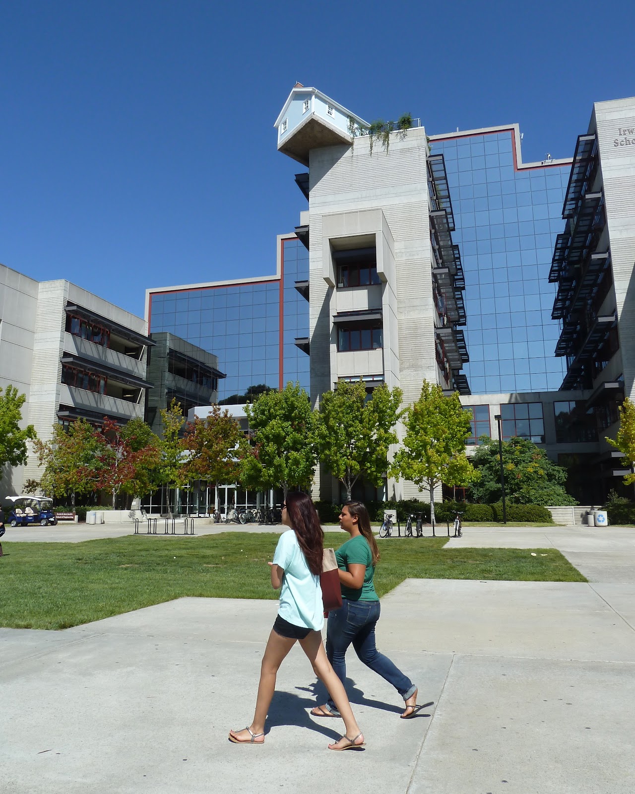 Observations: Fallen Star at UCSD