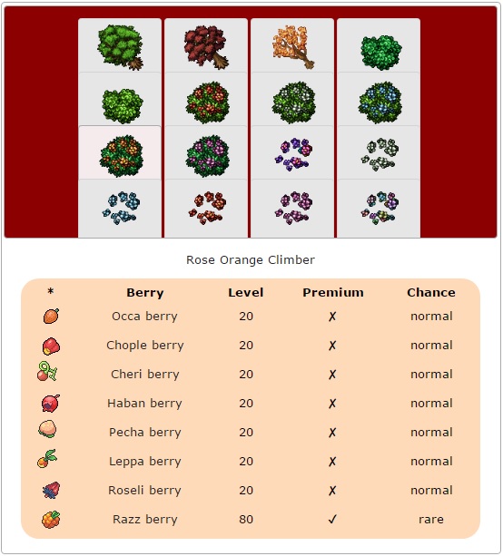 Equipe Magma: Sistema de Berries