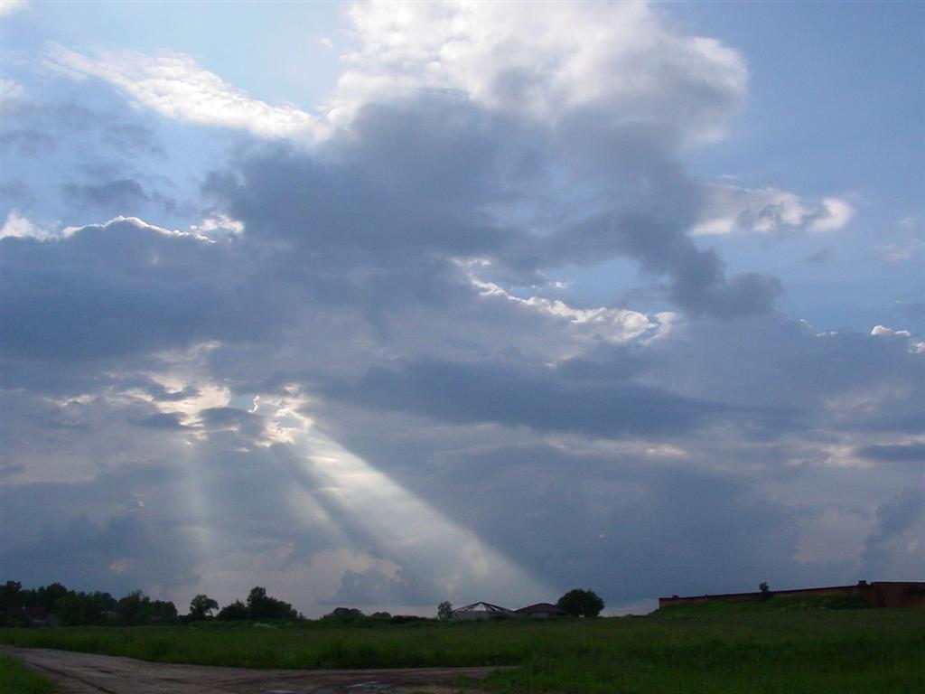 Beams of sunlight | Okay Wallpaper