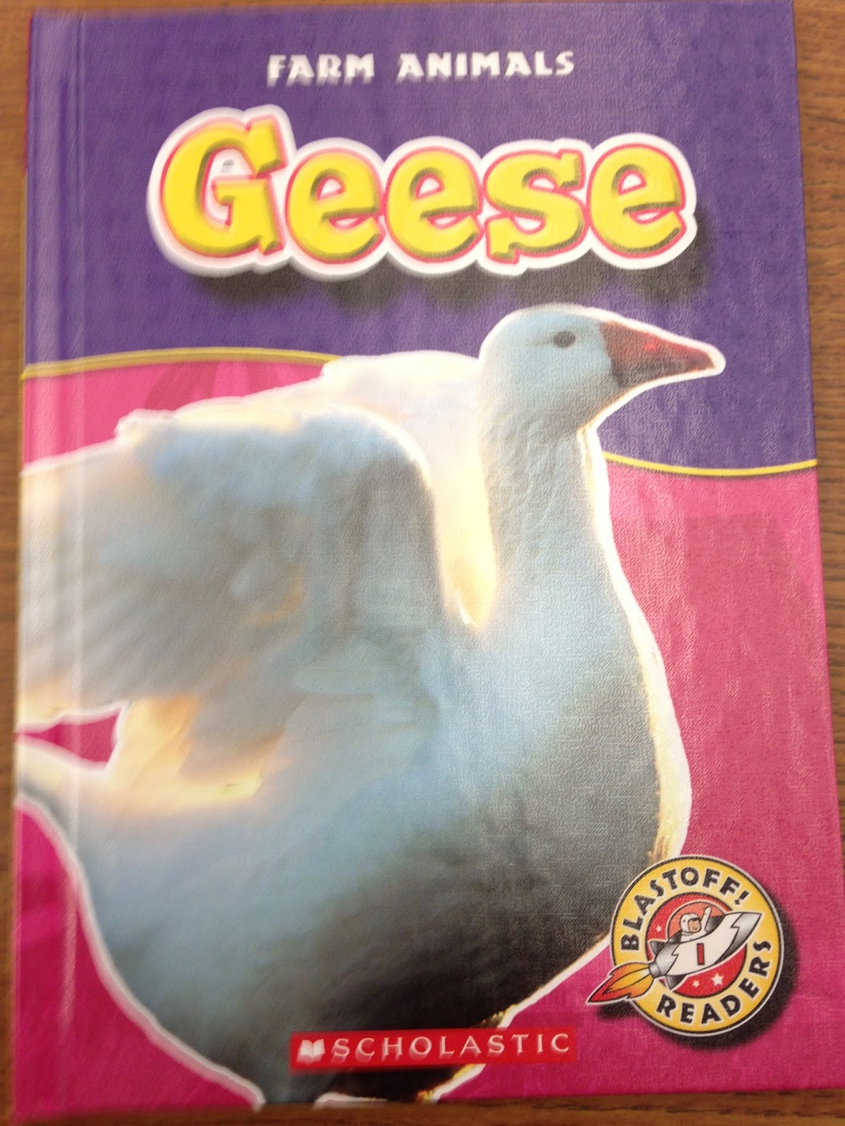 Nonfiction Resources for Beginning Readers | Adventures in Literacy Land