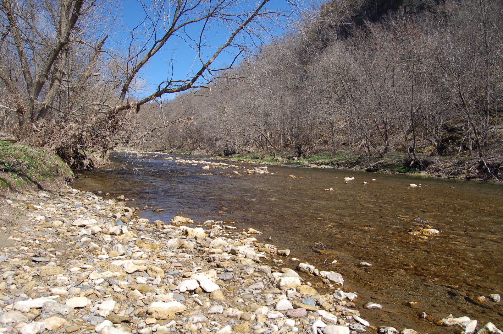 Sticky Ferrule: Rush River BWO's and the crowd