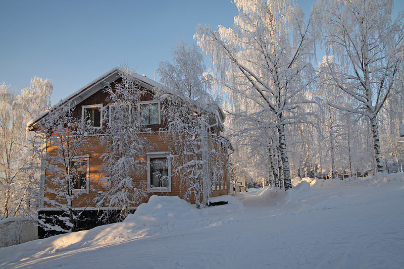 Nurmes ja Puu-Nurmes