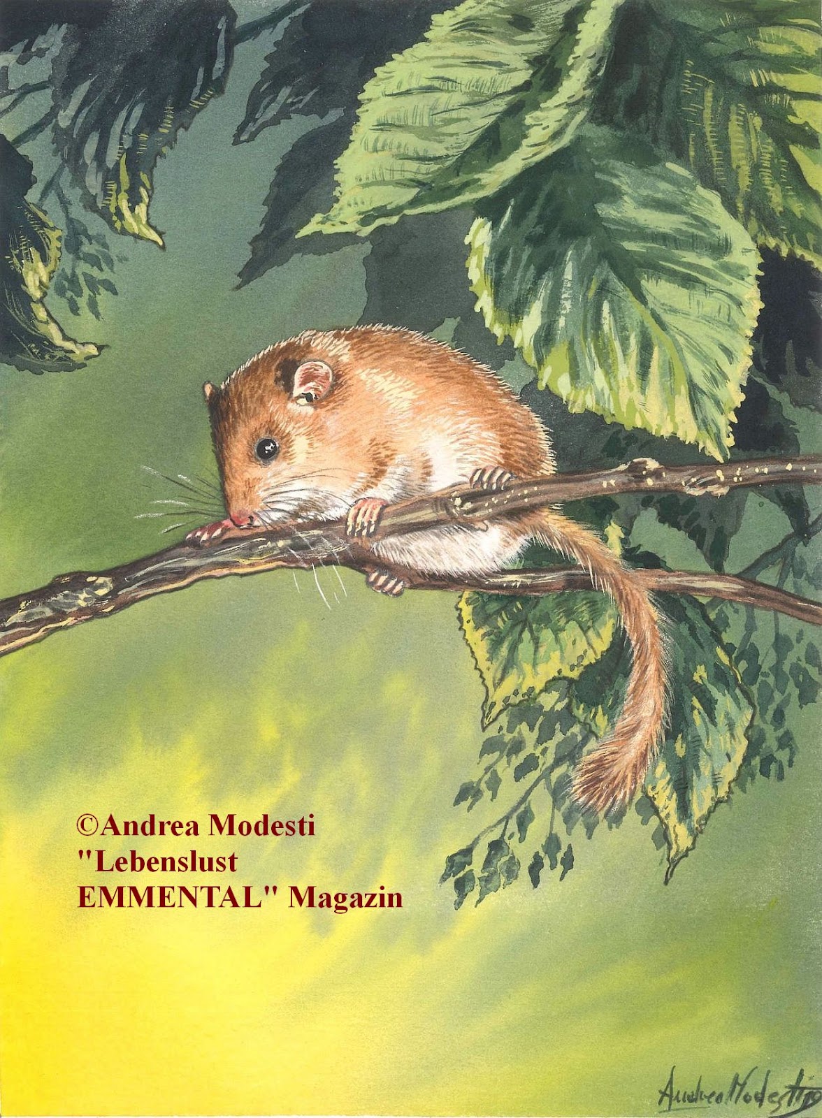 Andrea Modesti Art and Illustration: New illustrations published in ...