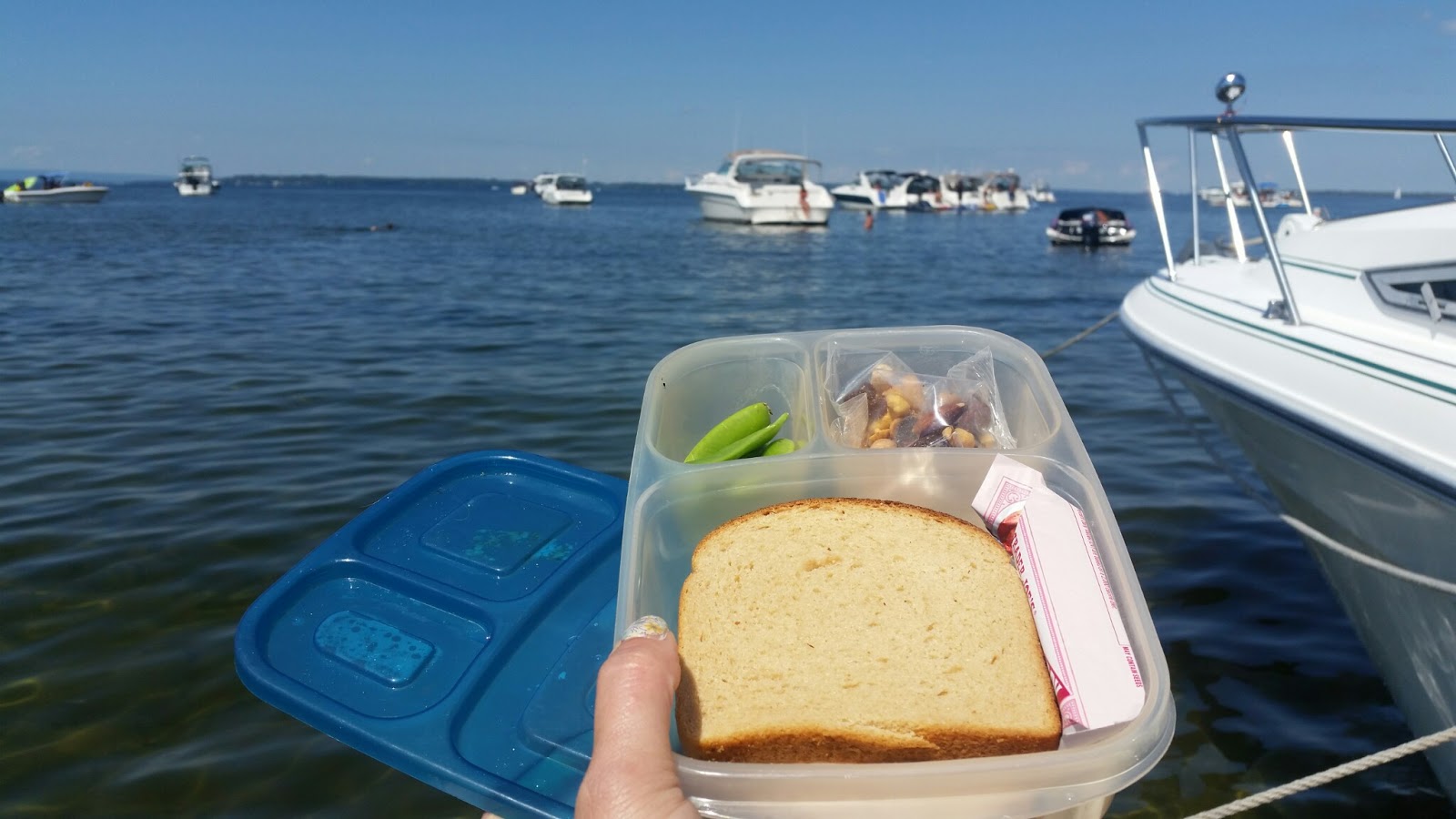 Lunches Fit For a Kid: Lunches for an Outing: Boating Day 8.23.15
