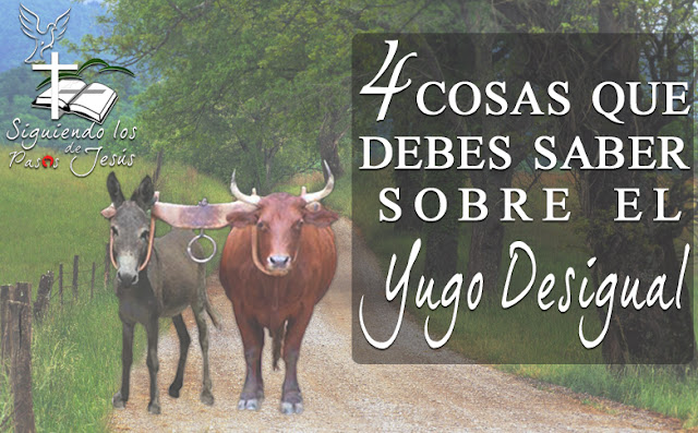Siguiendo los Pasos de Jesús: 4 cosas que debes saber sobre el yugo ...