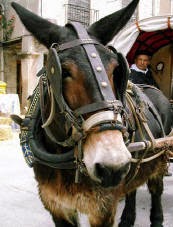 Rede Ferroviaria Nacional | Page 594 | SkyscraperCity Forum