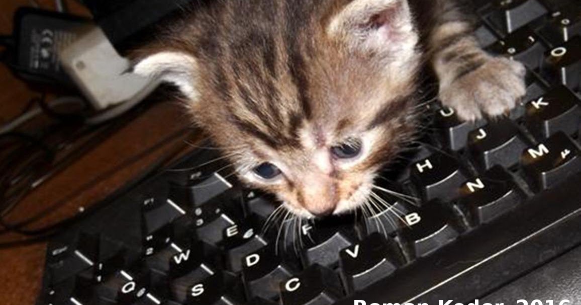 Die besten Lesetipps : Vita Roman Kedor