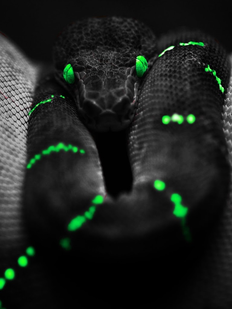 Black Snake Neon Green Android Wallpaper | (Best Andro Wallpapers)