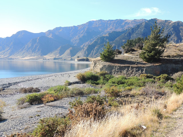 THE ROAD TAKEN : Hiking Lake Hawea