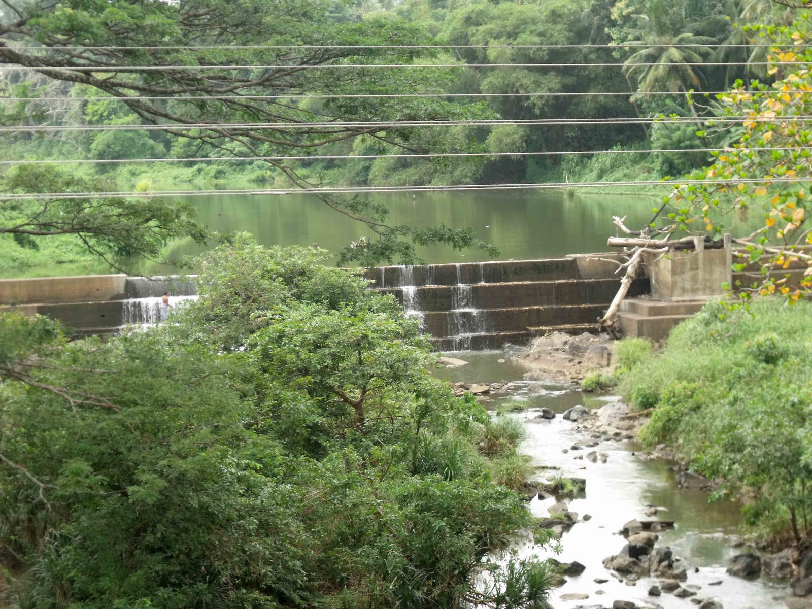 philipveerasingam: Deduru Oya at Ibbagamuwa, Sri Lanka.