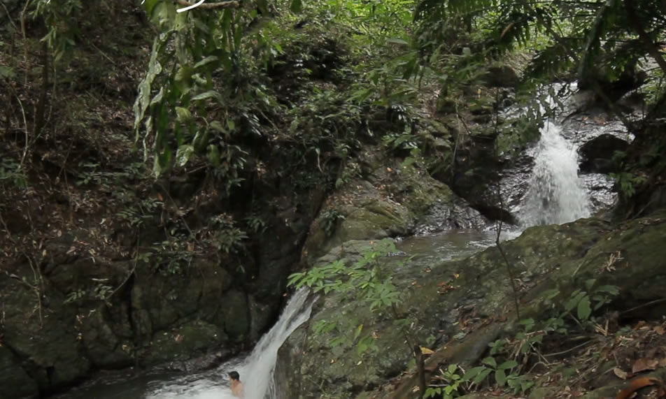 TrustMovies: Auraeus Solito's Philippines-set BUSONG provides glorious ...