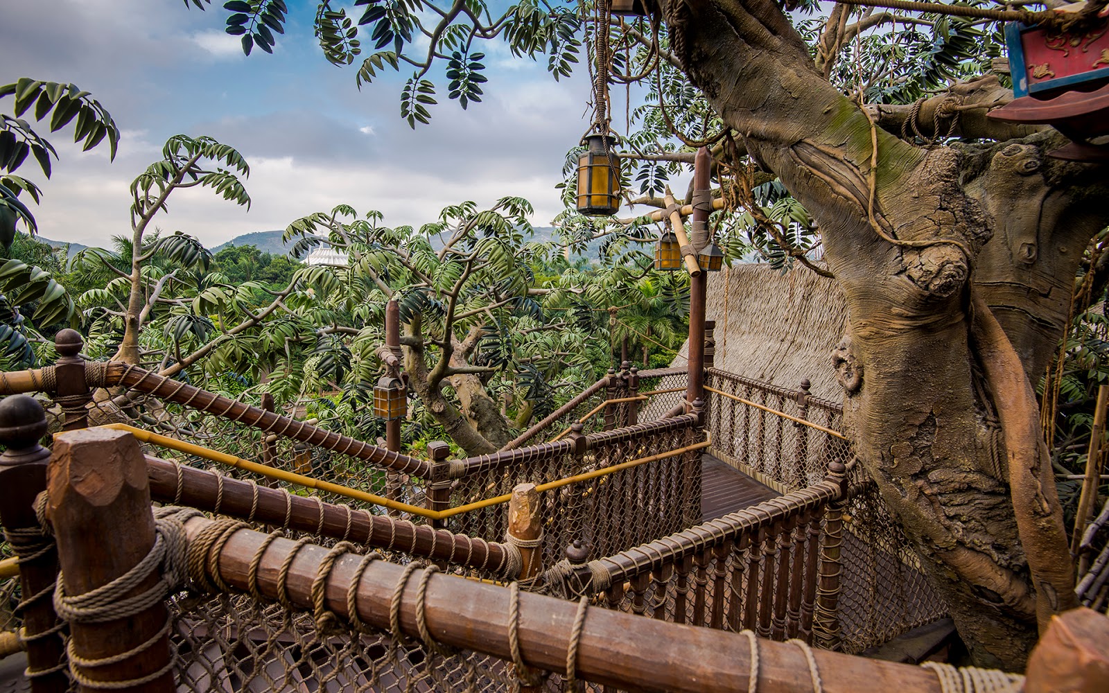 Tarzan's Hong Kong Treehouse