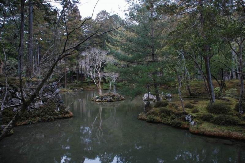 giga world: Garden moss Saiho-ji. Japan