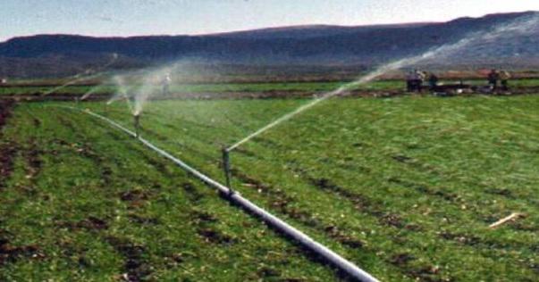 Jenis-jenis Sistem Irigasi Sprinkler - Panduan Pelajaran