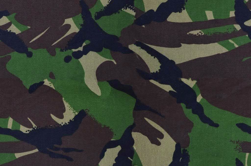Passion camouflage: DPM- DMP - Disruptive Pattern Material