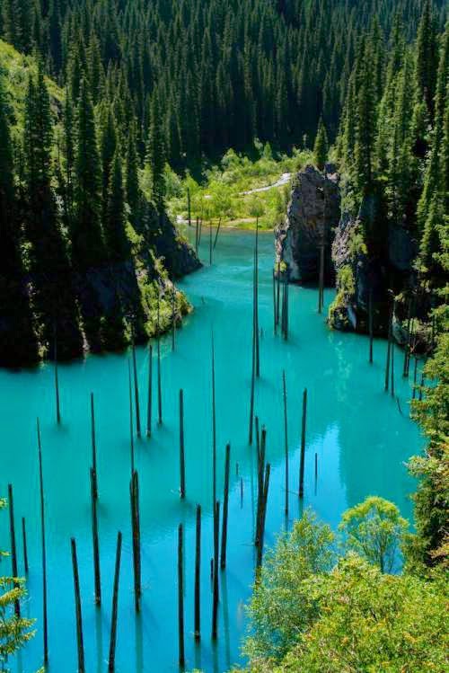 Fotos de Paisagens: A floresta submersa do Lago Kaindy - Casaquistão