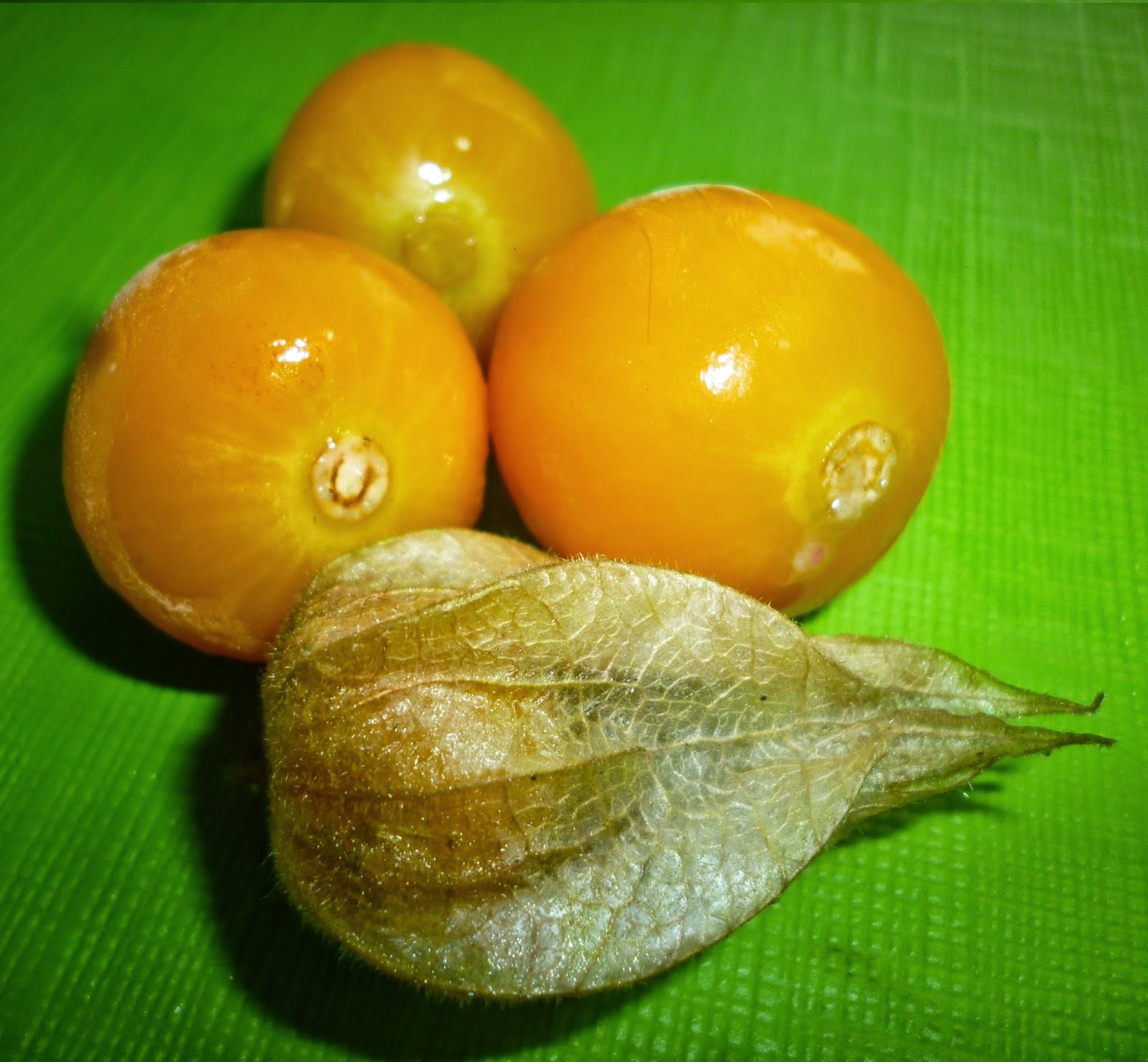 Cuerpo Vital: Beneficios y propiedades de la Uchuva.