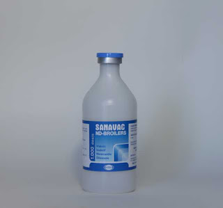 PT SANBIO LABORATORIES