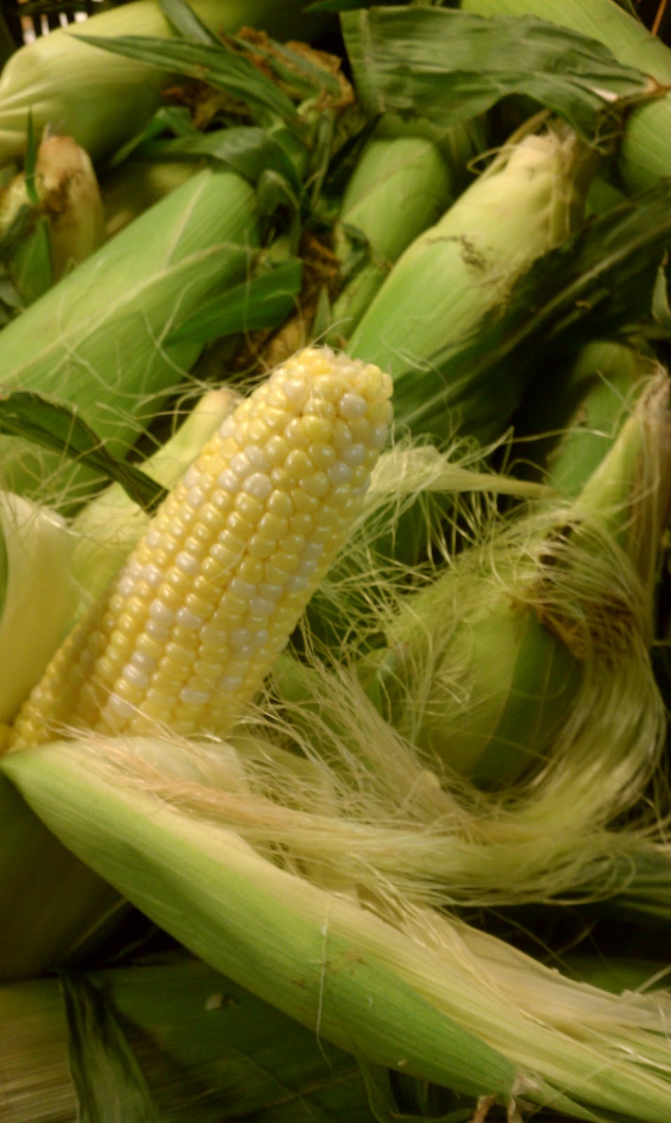 Brother Luck: Olathe Sweet Corn