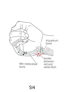 SaroEpic Acupuncture : Source points