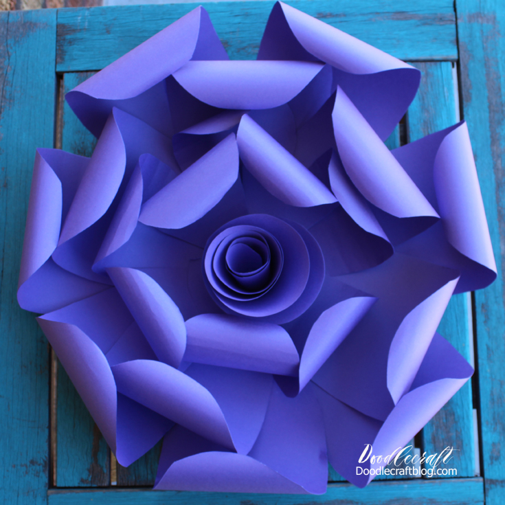 DIY: Paper Flower Wall Backdrop!