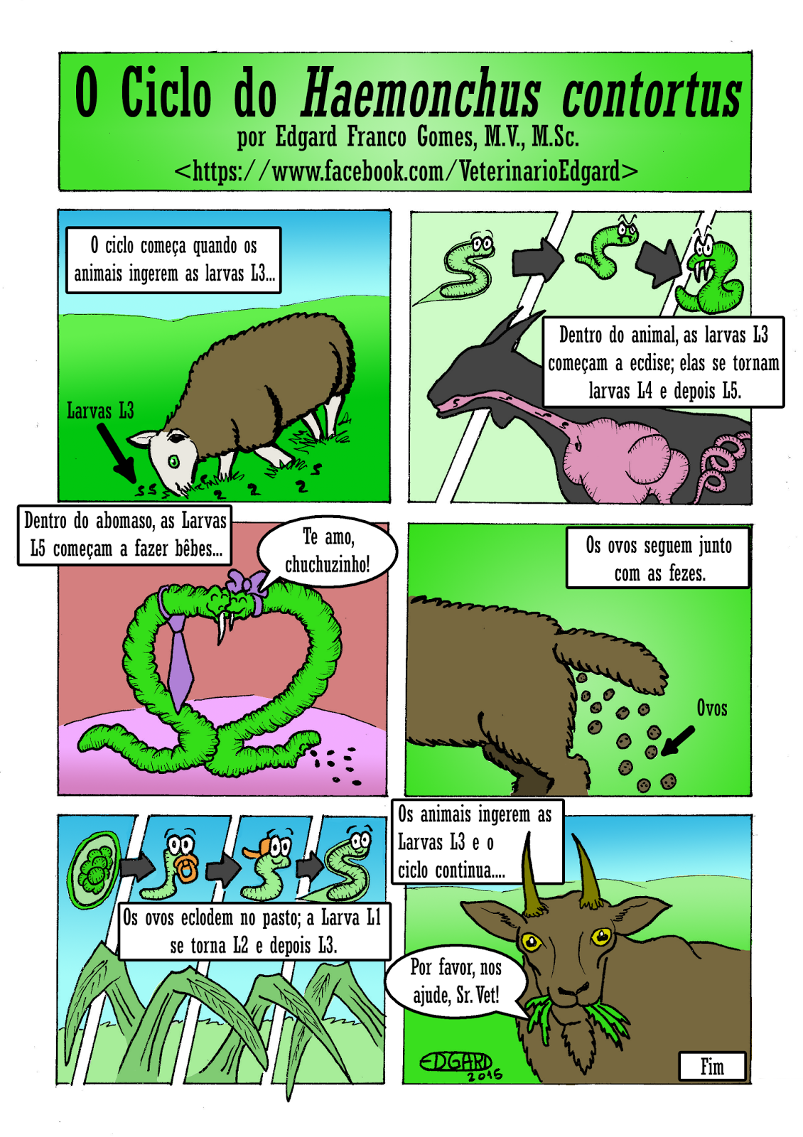 Protocolos Veterinários em Quadrinhos!!: O Ciclo do Haemonchus contortus