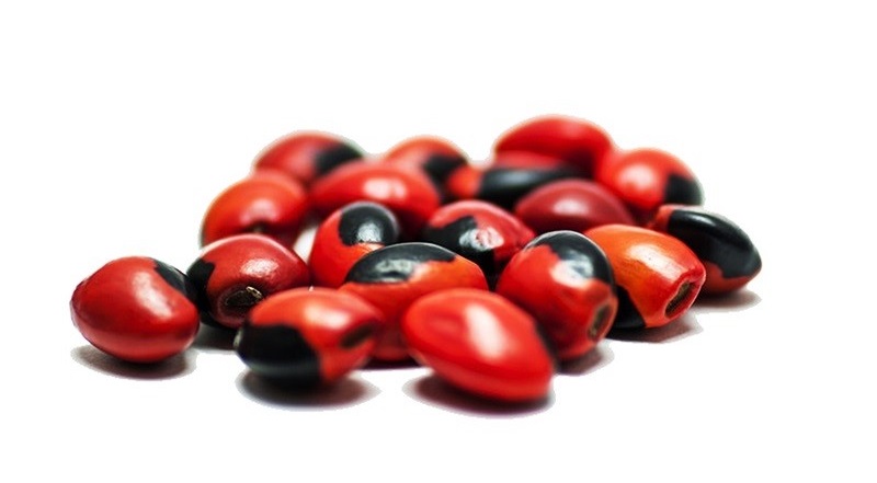 Pasos de baile: Danza los Huayruros