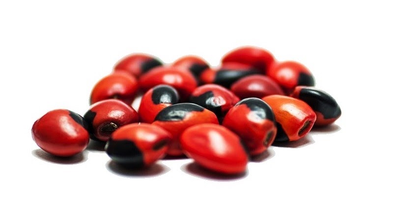 Pasos de baile: Danza los Huayruros