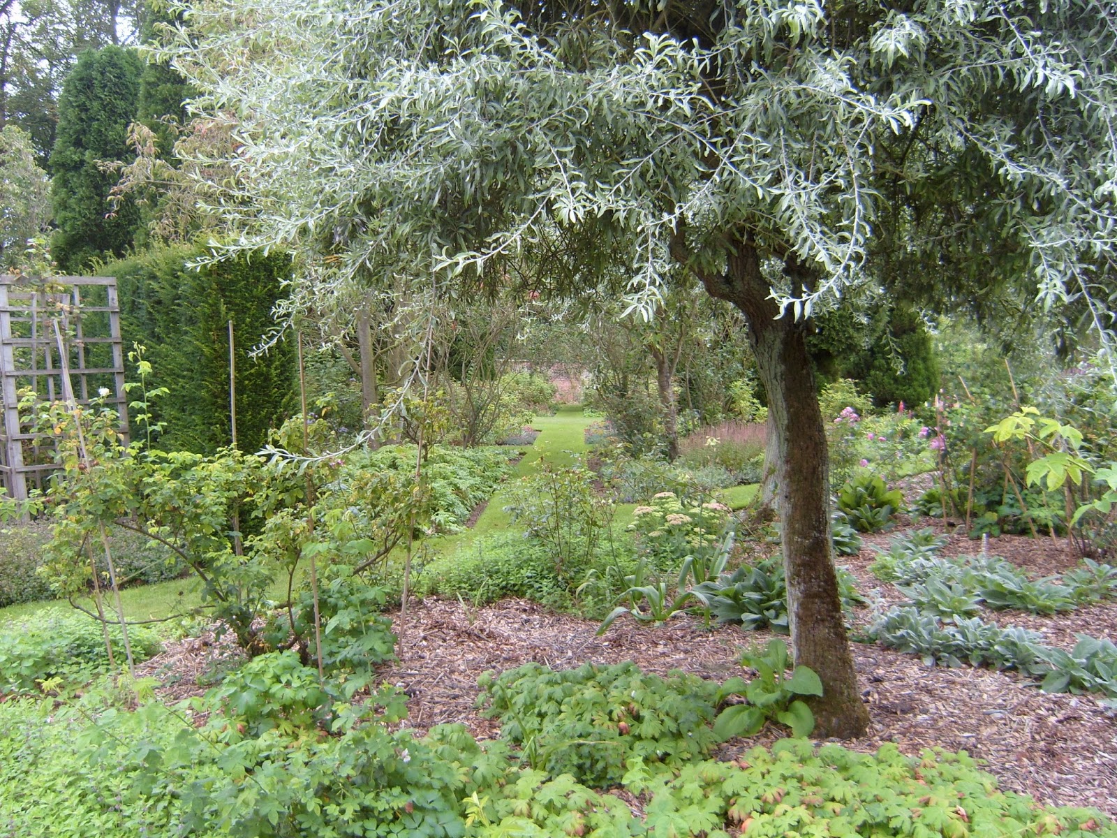 Groen in de stad: SIERPEER