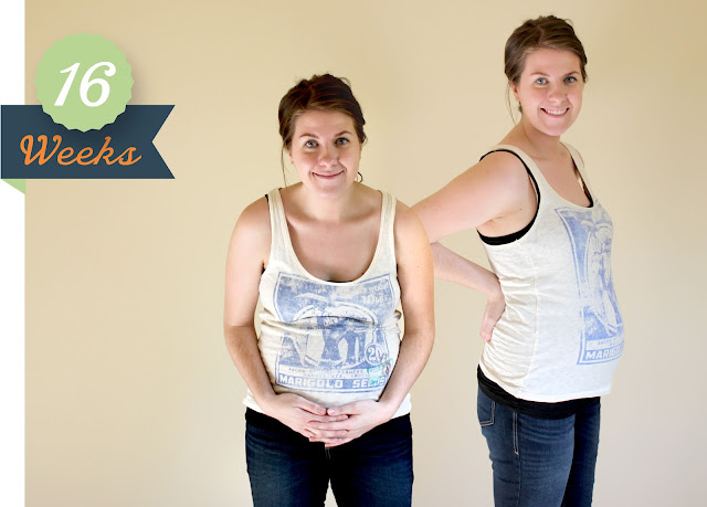 Wisdom and Honey: Pregnancy: Week 16