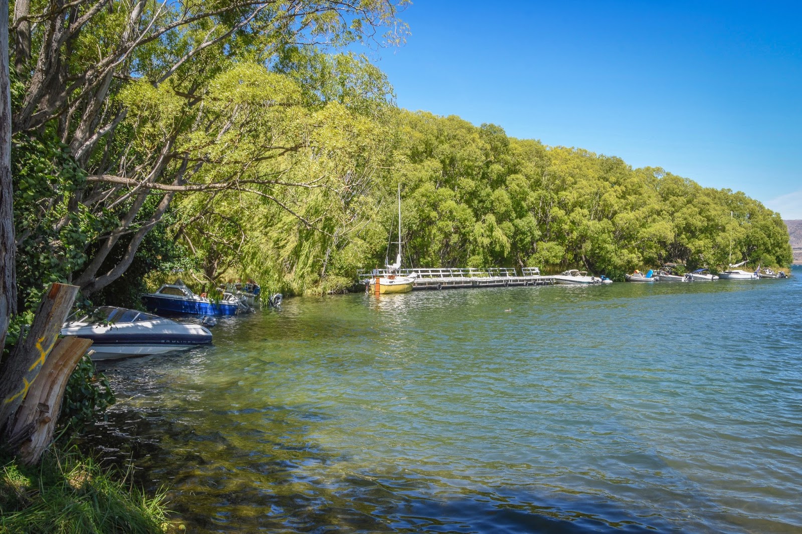 Paws Awhile: Three Lakes of Waitaki