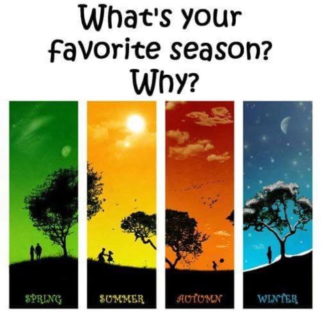 What's Your Favourite Season - Cool DP
