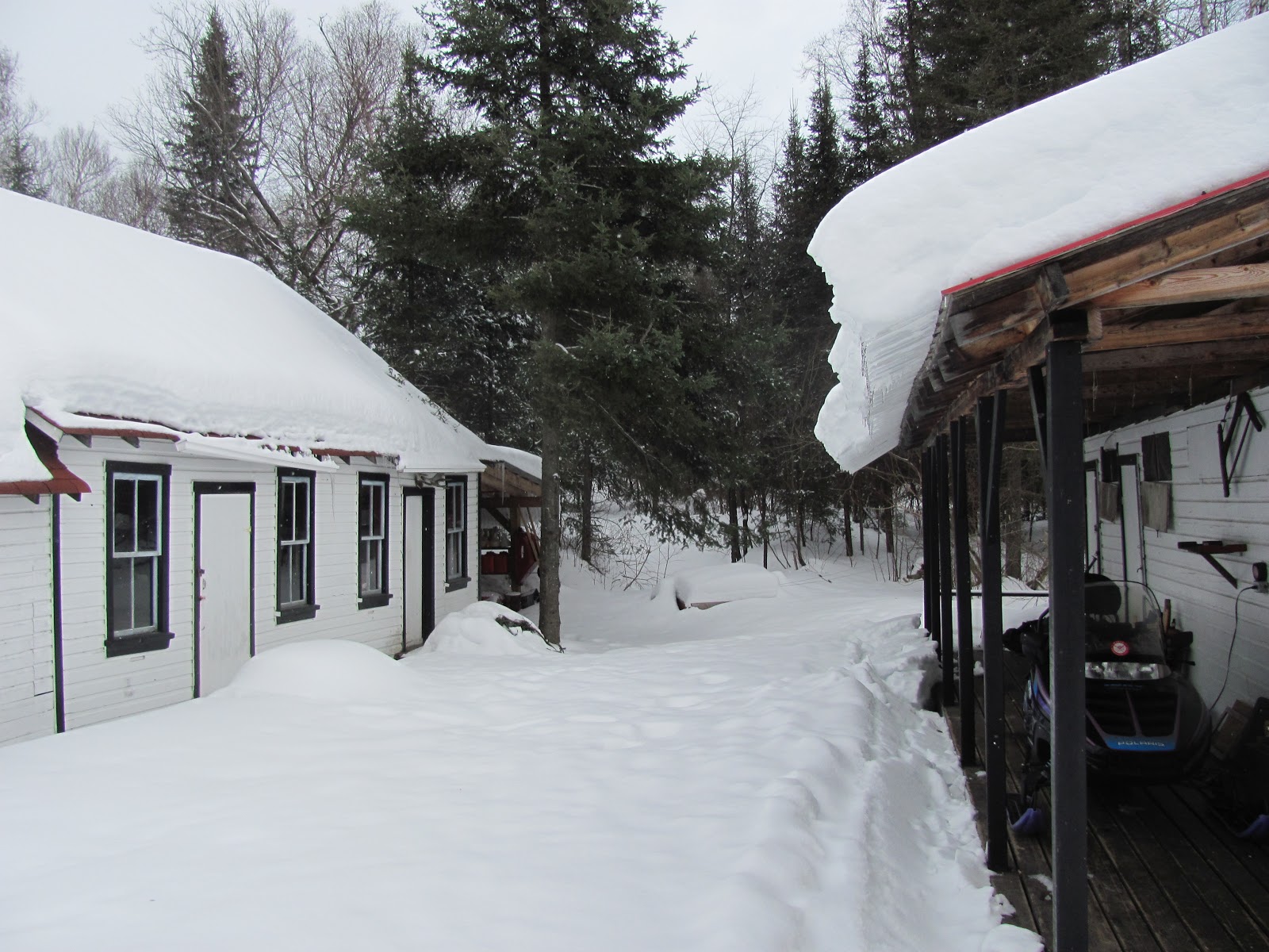 The Wabun Times: Winter Times in Temagami