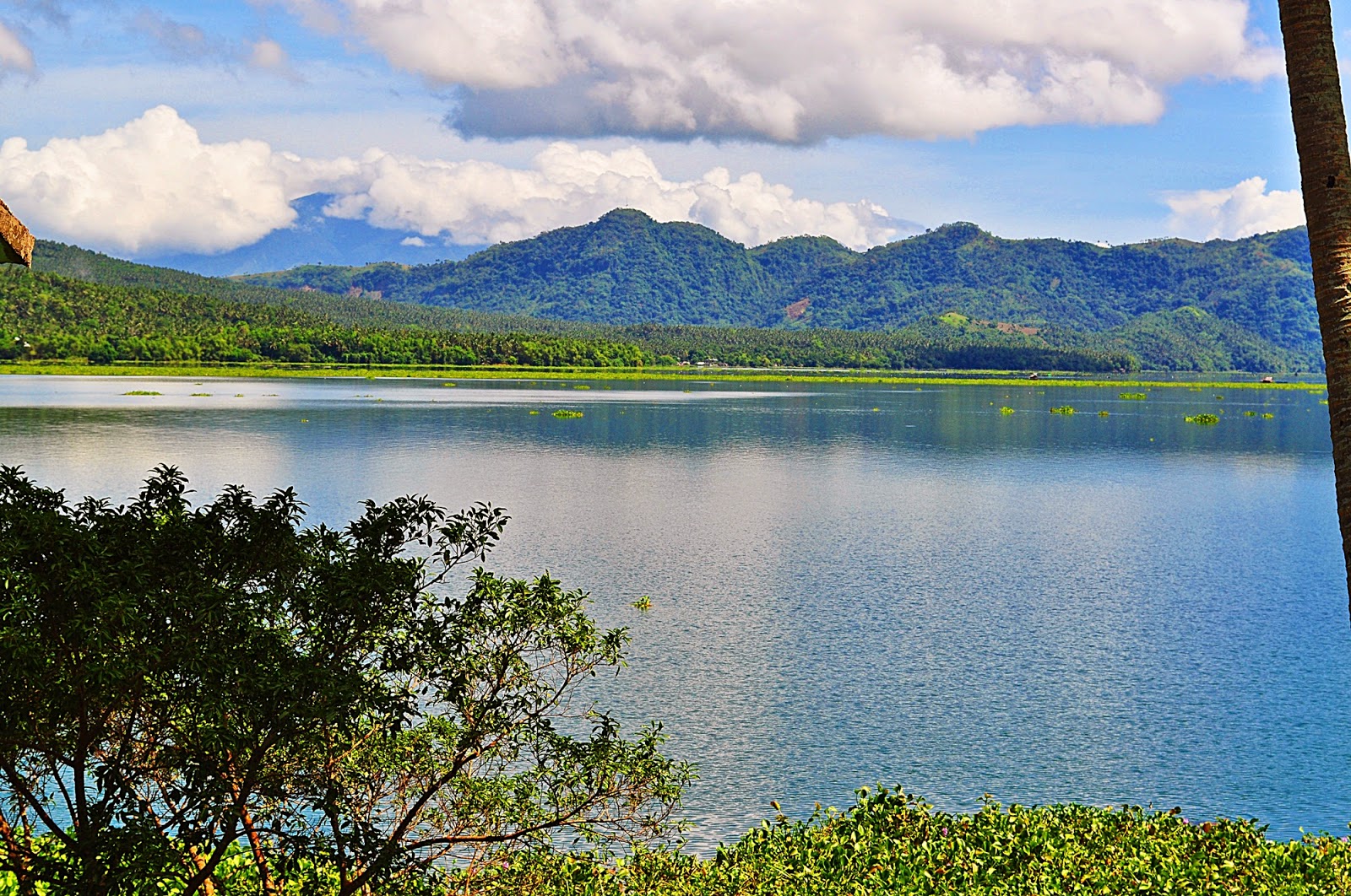 Choc-Nut Wrapper: Lake Buhi Resort - Iriga City