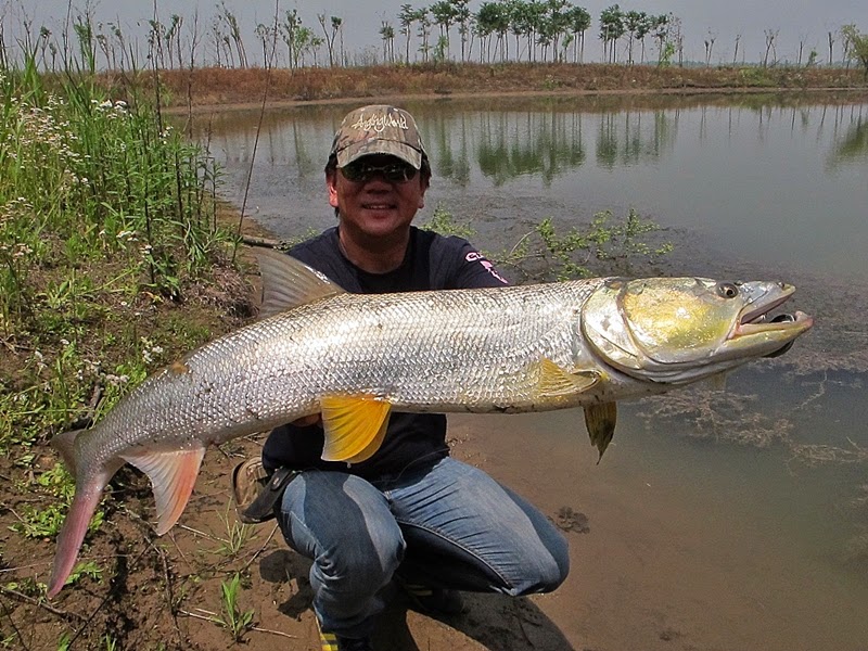 ANGLING WORLD 魔魚釣界: My Last Yellow Cheek Carp in Shanghai...