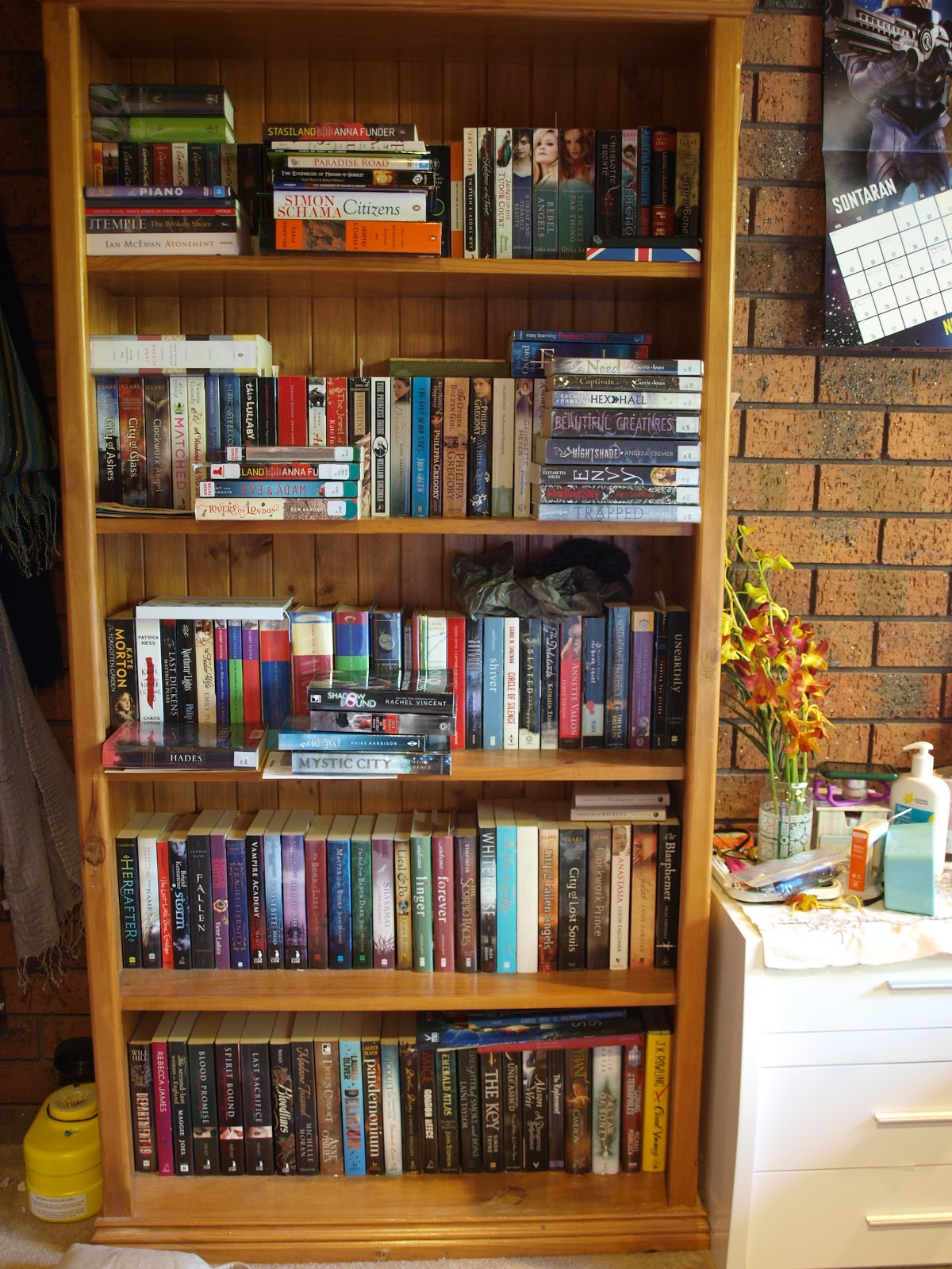 A Book So Fathomless: Ely's bookshelf tour