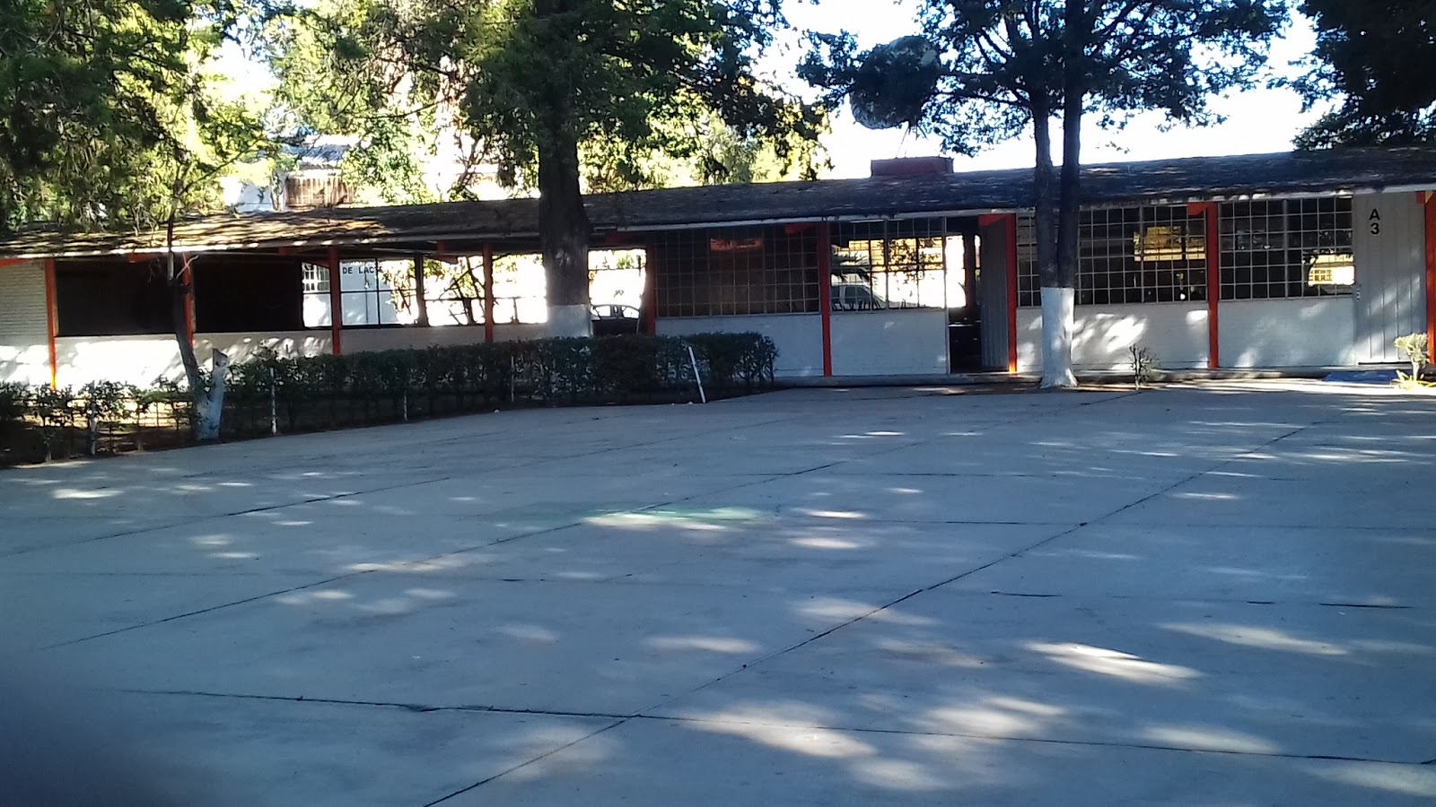 Como mantener el CBTa3 limpio con la coolaboración de los alumnos del ...