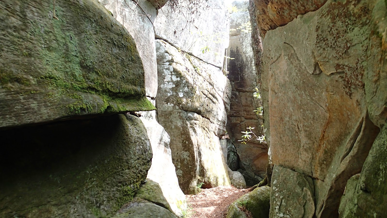 Ramblin': The Great Channels of Virginia